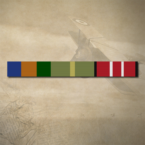 AOSM BORDER PROTECT+ HOSM +ADM MEDAL RIBBON BAR STICKER / DECAL | WATER ...