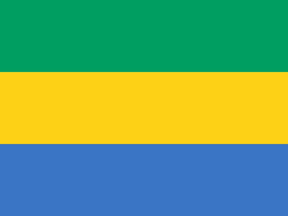 GABON COUNTRY FLAG | STICKER | DECAL | MULTIPLE STYLES TO CHOOSE FROM