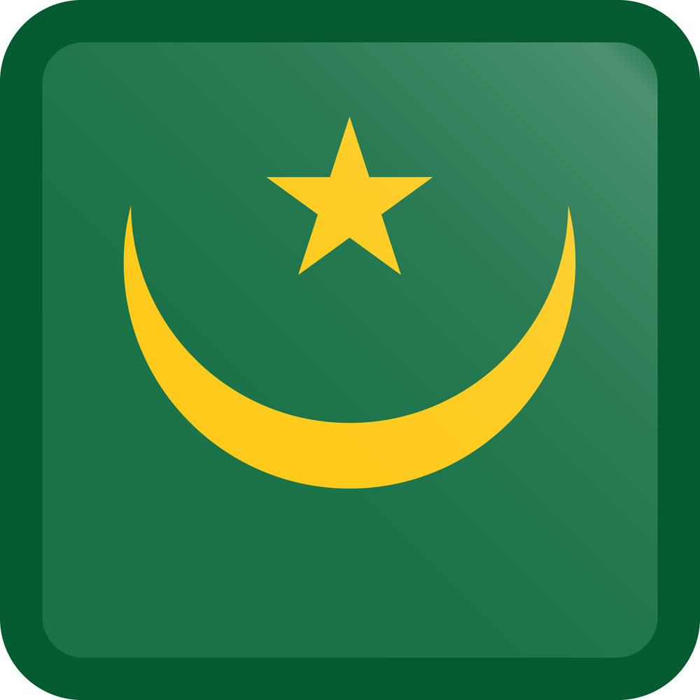 MAURITANIA COUNTRY FLAG | STICKER | DECAL | MULTIPLE STYLES TO CHOOSE ...